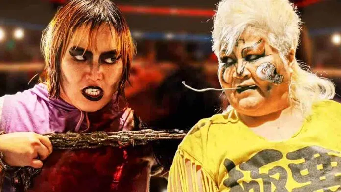 Real-Life Dump Matsumoto In 'The Queen Of Villains': Where Is The Wrestler Now?