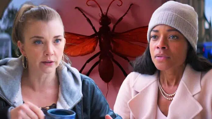 'The Wasp' Movie Ending Explained And Summary: What Is The Symbolism Of The Wasps?