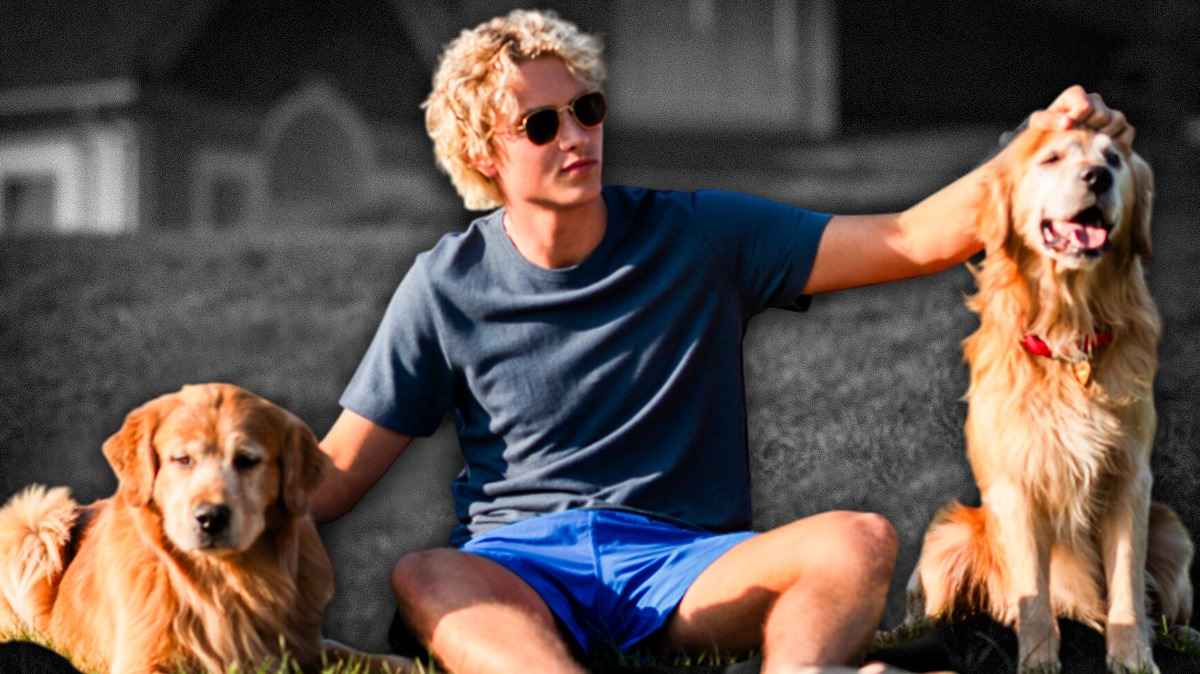 We Were Liars: Are The Dogs Dead? Did Harris Adopt Three Puppies?